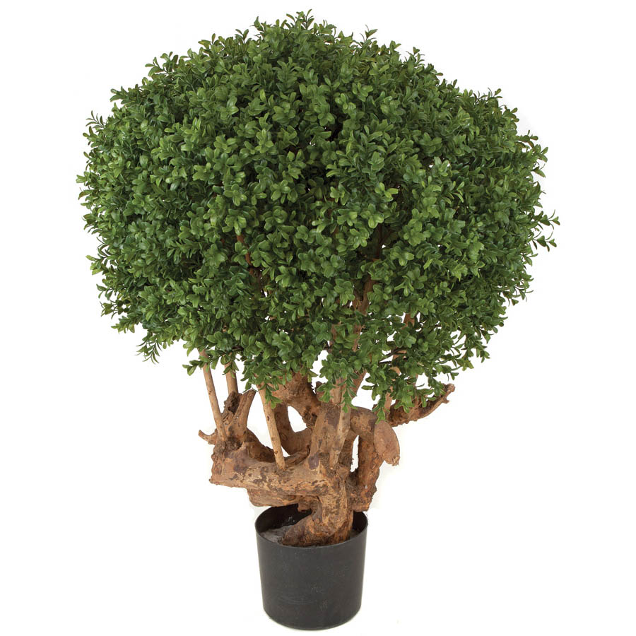 35 inch Outdoor Artificial Plastic Boxwood Bush Topiary: Potted | A-141860