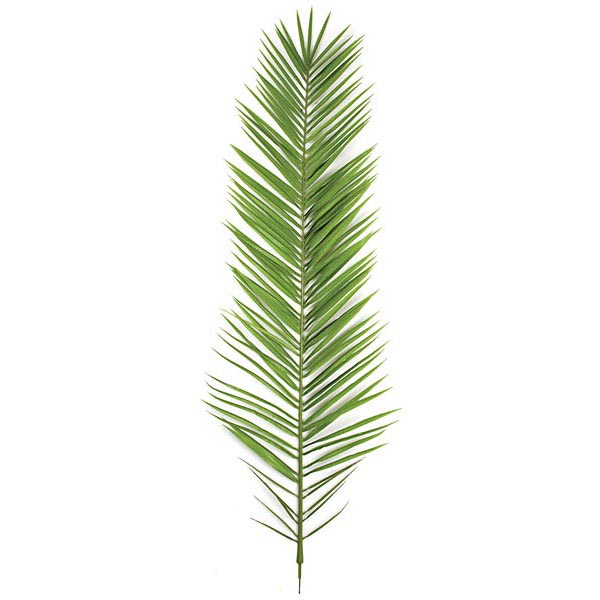 75 inch Light Green Fire Retardant Phoenix Palm Frond (Set of 6) | PR ...