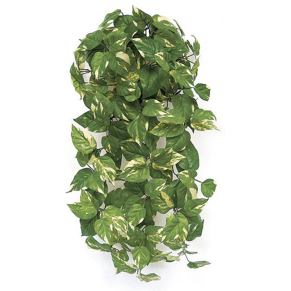 28 inch Fire Retardant Pothos Bush (Set of 2) | PR-994