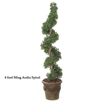 5 Foot Outdoor Artificial Ming Aralia Spiral Topiary | Quinte