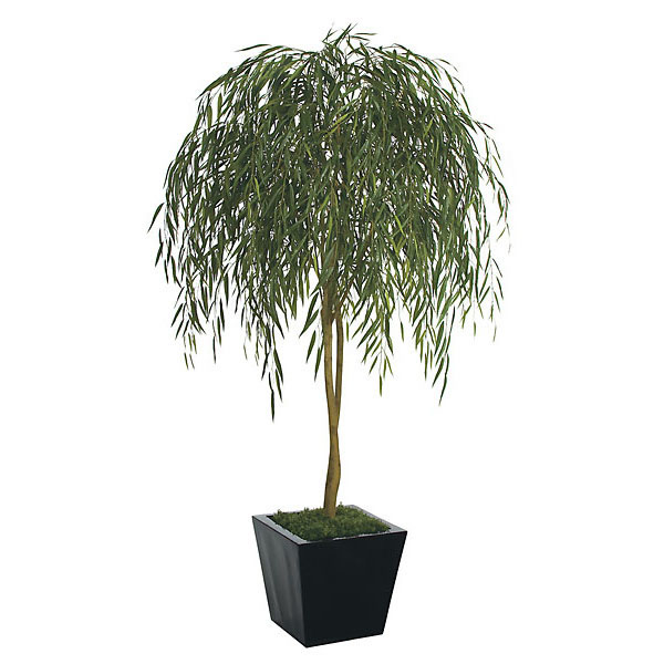 7 foot Willow Tree | W-70021