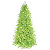 Colorful Christmas Trees |Garden Ridge Christmas Trees