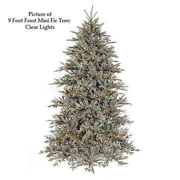 Frost Mini Fir Tree | Divaloo