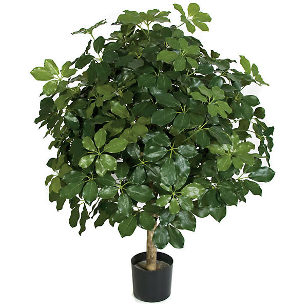 45 inch Artificial Schefflera Ball Tree with Natural Trunk: Potted | P ...