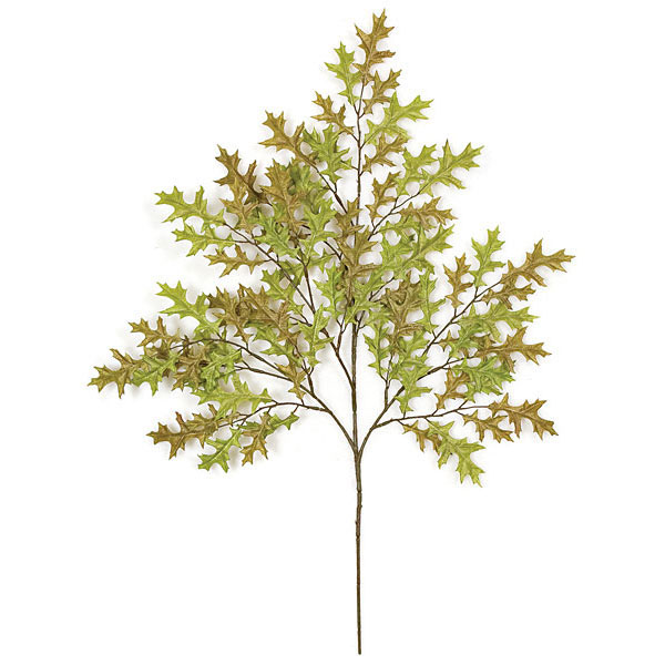 27 inch Green and Brown Pin Oak Branch (Set of 24) | P-462GB