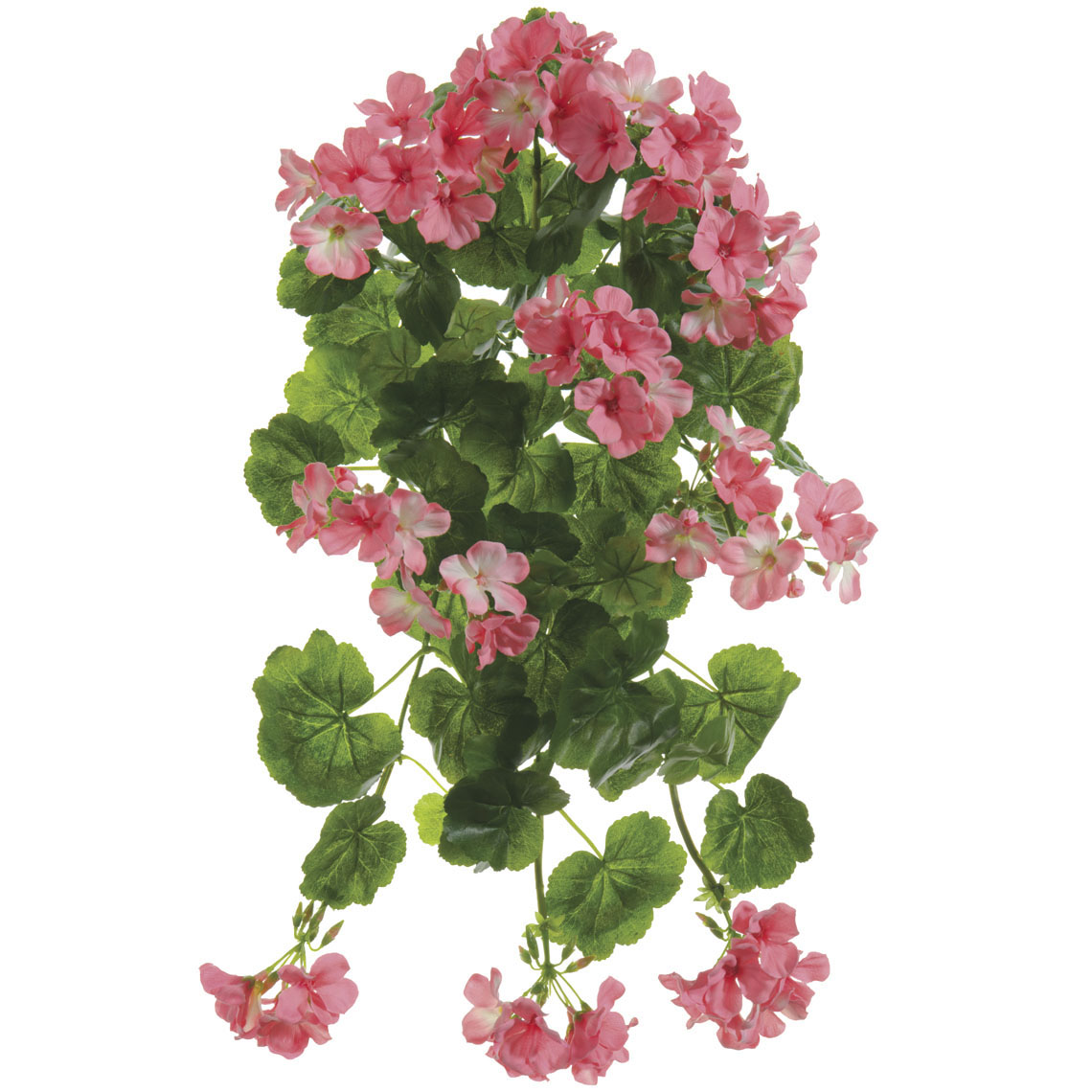 21 inch Outdoor Pink Hanging Geranium Bush: Limited UV | FBG390-PK