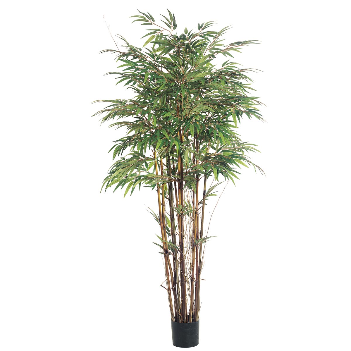5 foot Natural Trunk Bamboo Tree: Potted (set of 2) | LPB155-GR/TT