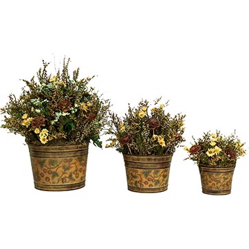 Mini Daisies: Set of 3 - Credible574