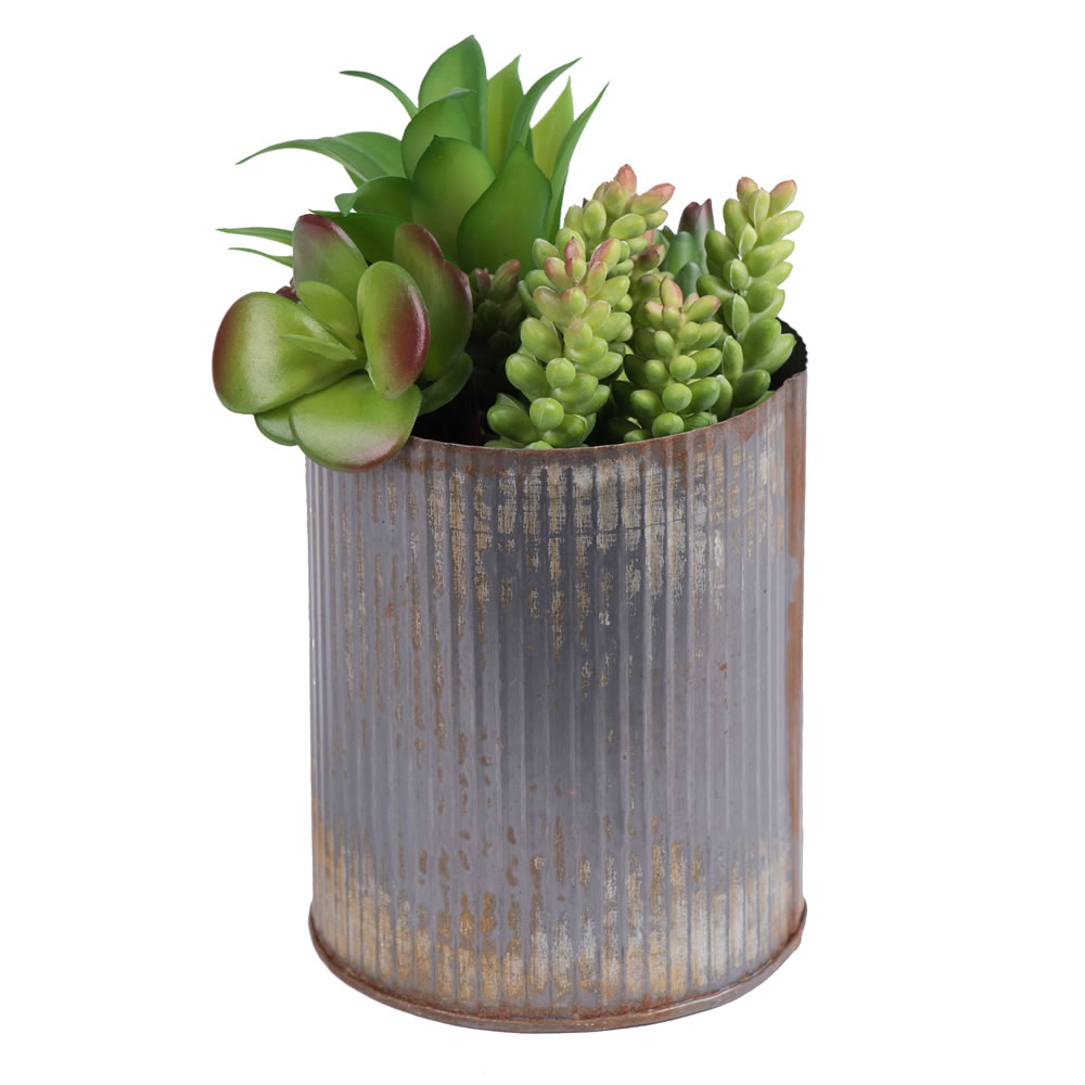 9 inch Rustic Tin Vase with a Variety of Succulents | F12202