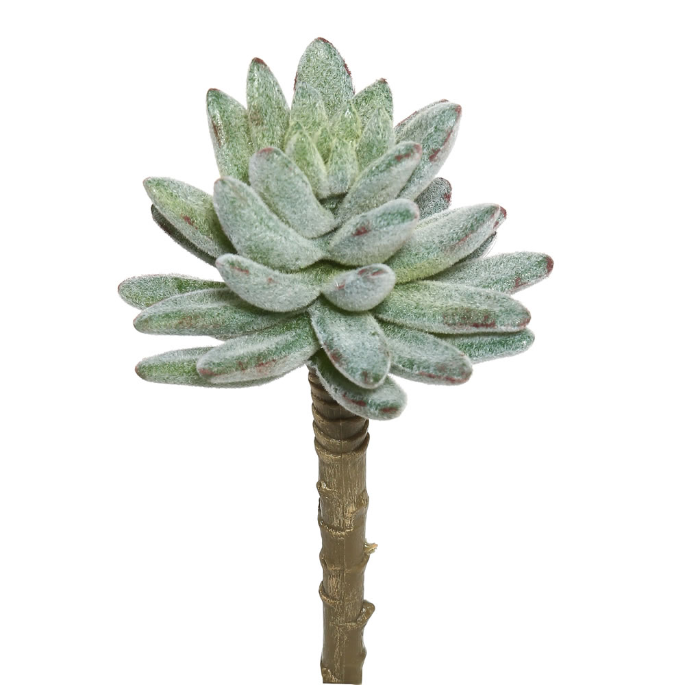 6 inch Panda Pick (Set of 3) | FE171501