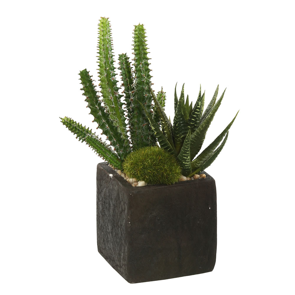 8 inch Succulent Arrangement in Square Planter | FE172401