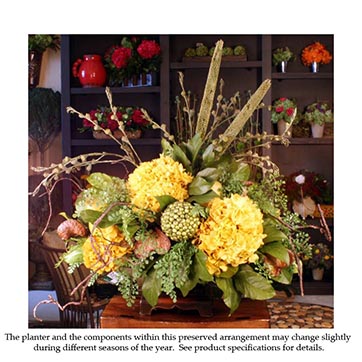 Preserved Gold Arrangement With Natural Accents | Myify