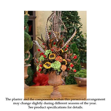 Preserved Sunflower Upright Arrangement | Myify