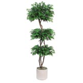 Artificial Ming Aralia Trees | Ming Aralia Plants | Ming Trees