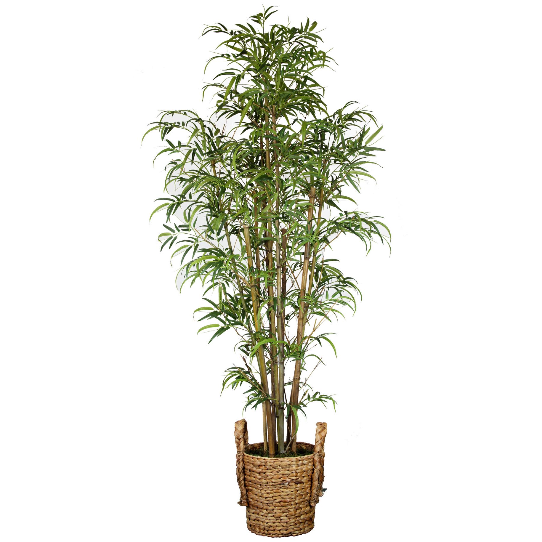 Vintage Home 6 foot Artificial Bamboo Tree in Wicker Basket Planter ...