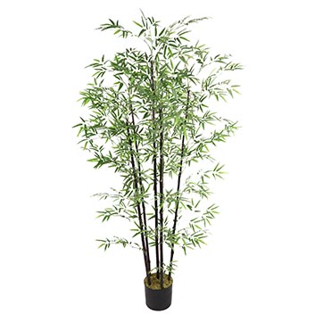 Laura Ashley 6 Foot Artificial Bamboo Tree With Black Poles: Potted | Kindo