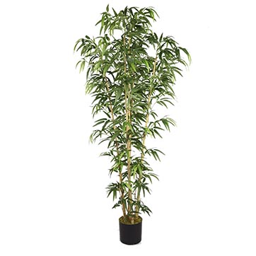 Laura Ashley 6 Foot Artificial Natural Bamboo Tree: Potted | Kindo