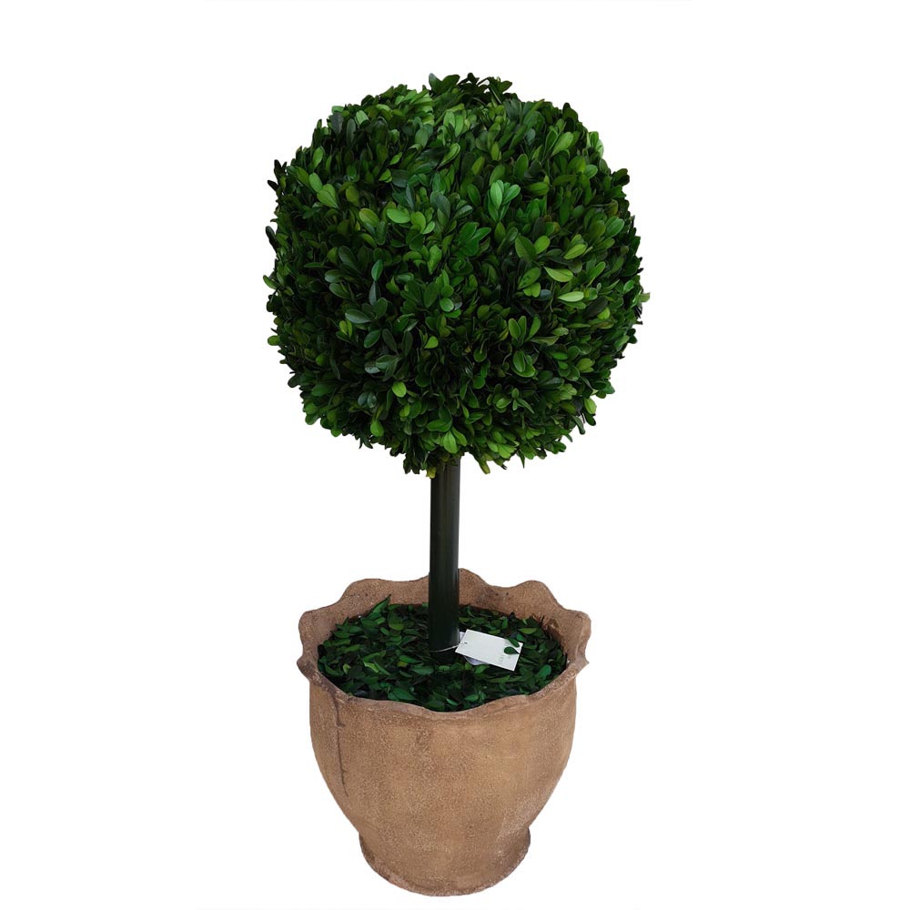 Vintage Home 29 inch Preserved Boxwood Ball In Clay Pot | VHA102431