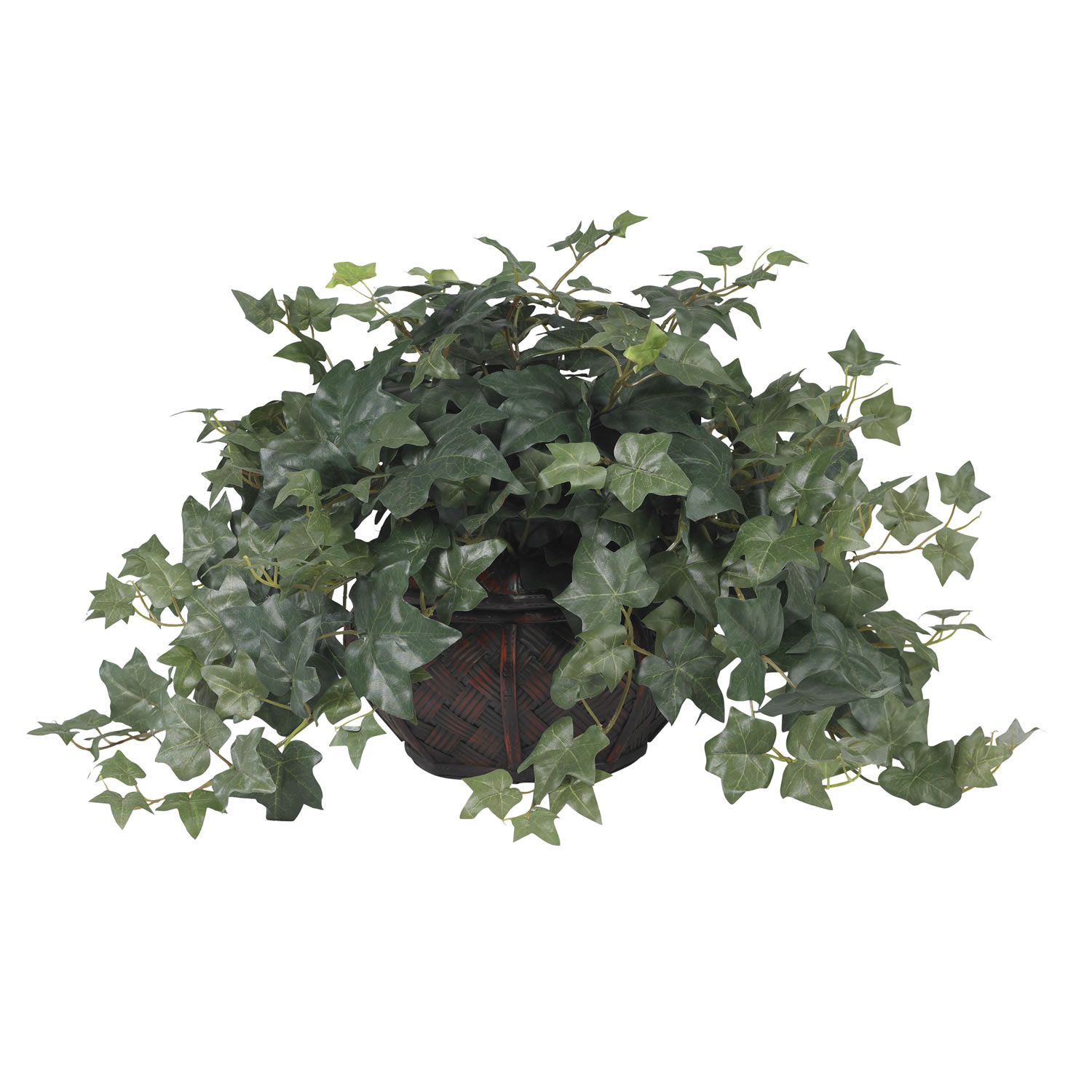 18 inch Puff Ivy in Planter | 6635