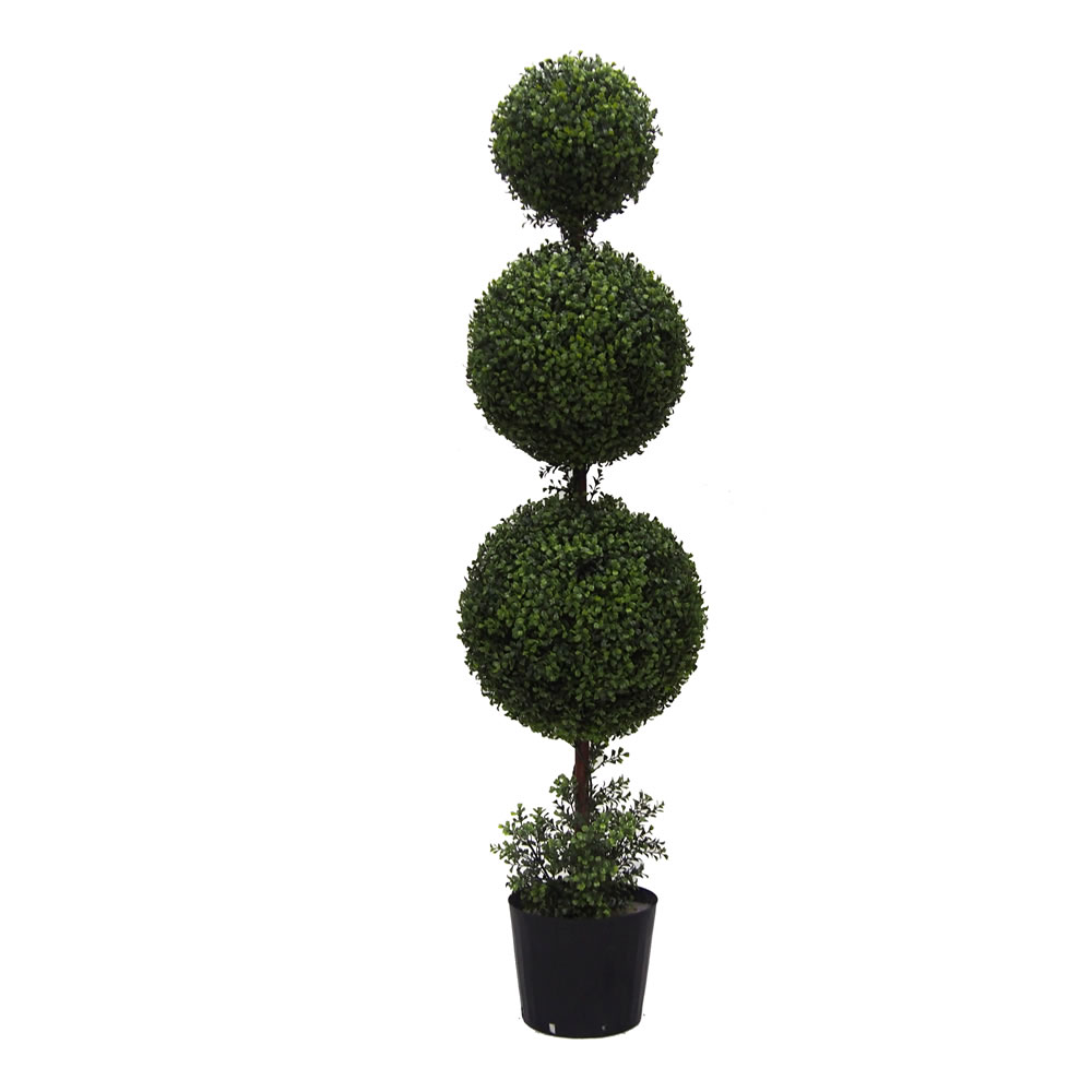 5 foot UV Protected Boxwood Triple Ball Topiary: Potted | TP170760