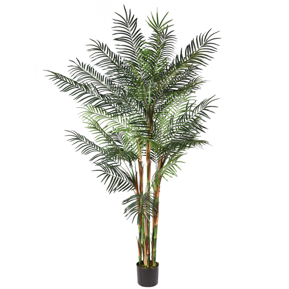 8 foot Potted Reed Palm Tree: Potted | H110180