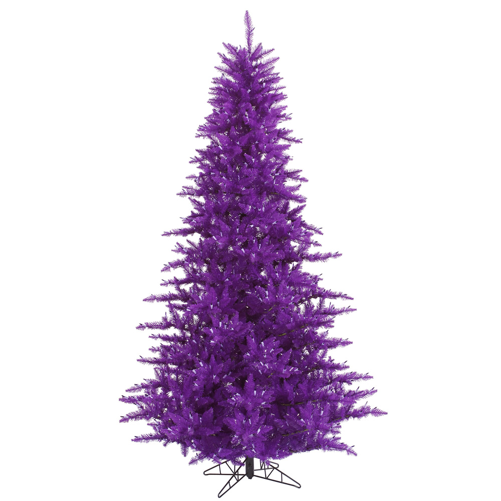 5.5 foot Purple Fir Tree: Unlit | K163155