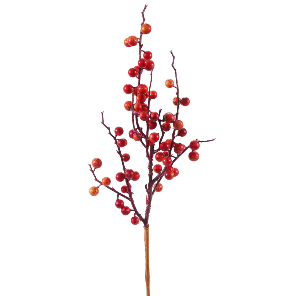 18 inch Red Wild Outdoor Berry Pick | P152802