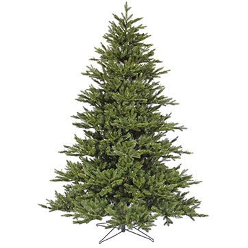 Full Noble Fir Tree | Twitterlinks