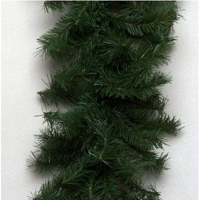 50 foot x 10 inch Canadian Garland: Clear Lights | A802713