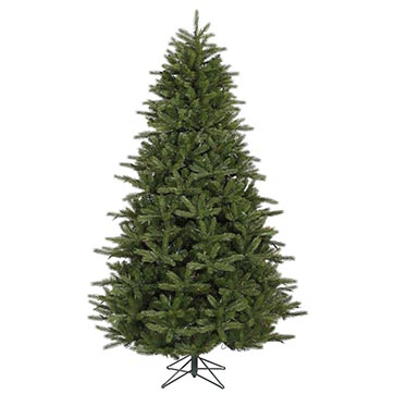 Majestic Frasier Fir Tree | Quinte