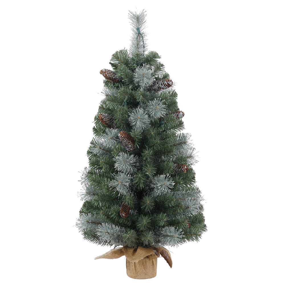 3 foot Shasta Blue Mix Tabletop Pine Tree: Unlit | B154630