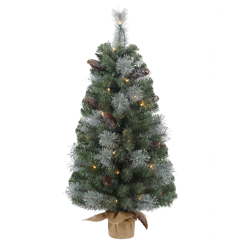 3 foot Shasta Blue Mix Tabletop Pine Tree: 50 Clear Mini Lights | B154631
